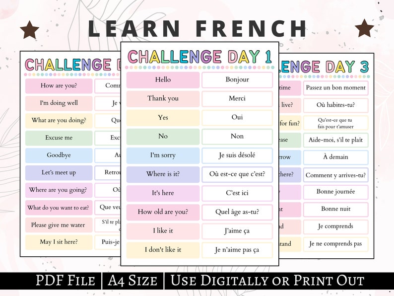French Language | French Practice Basic Phrases & Expressions, French ...