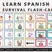 Spanish Flashcards for Beginners, Spanish Printable Flashcards, Spanish ...