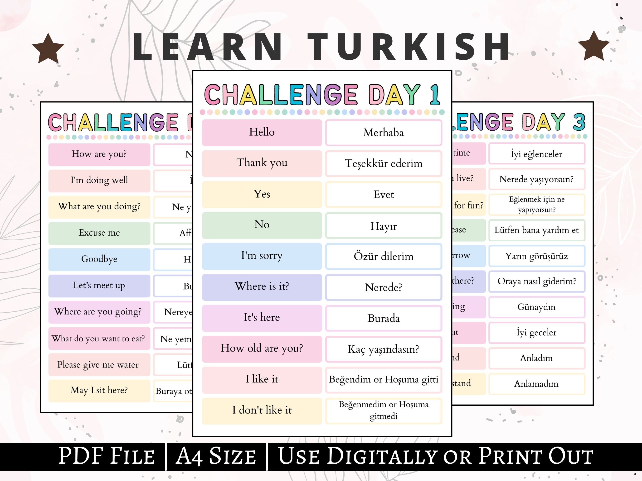 Turkish Language | Turkish Practice Phrases & Expressions, Turkish ...
