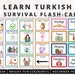 Turkish Flashcards for Beginners, Turkish Printable Flashcards, Turkish ...
