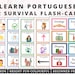Portuguese Flashcards for Beginners, Portuguese Printable Flashcards ...