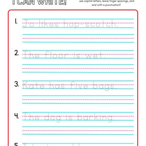 10 Printable Write the Sentence Worksheets - Etsy