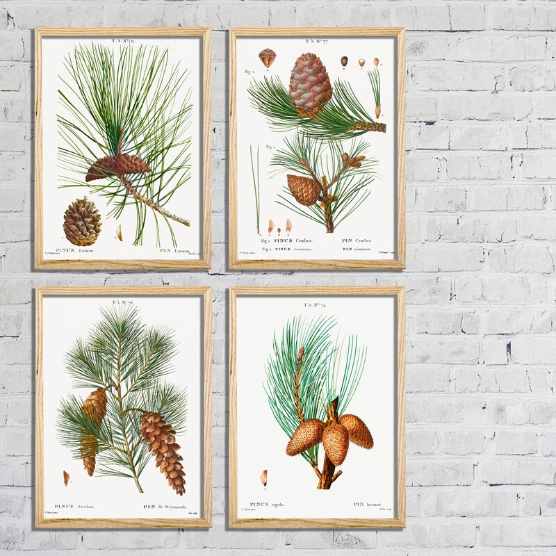Pine Tree Poster - Etsy