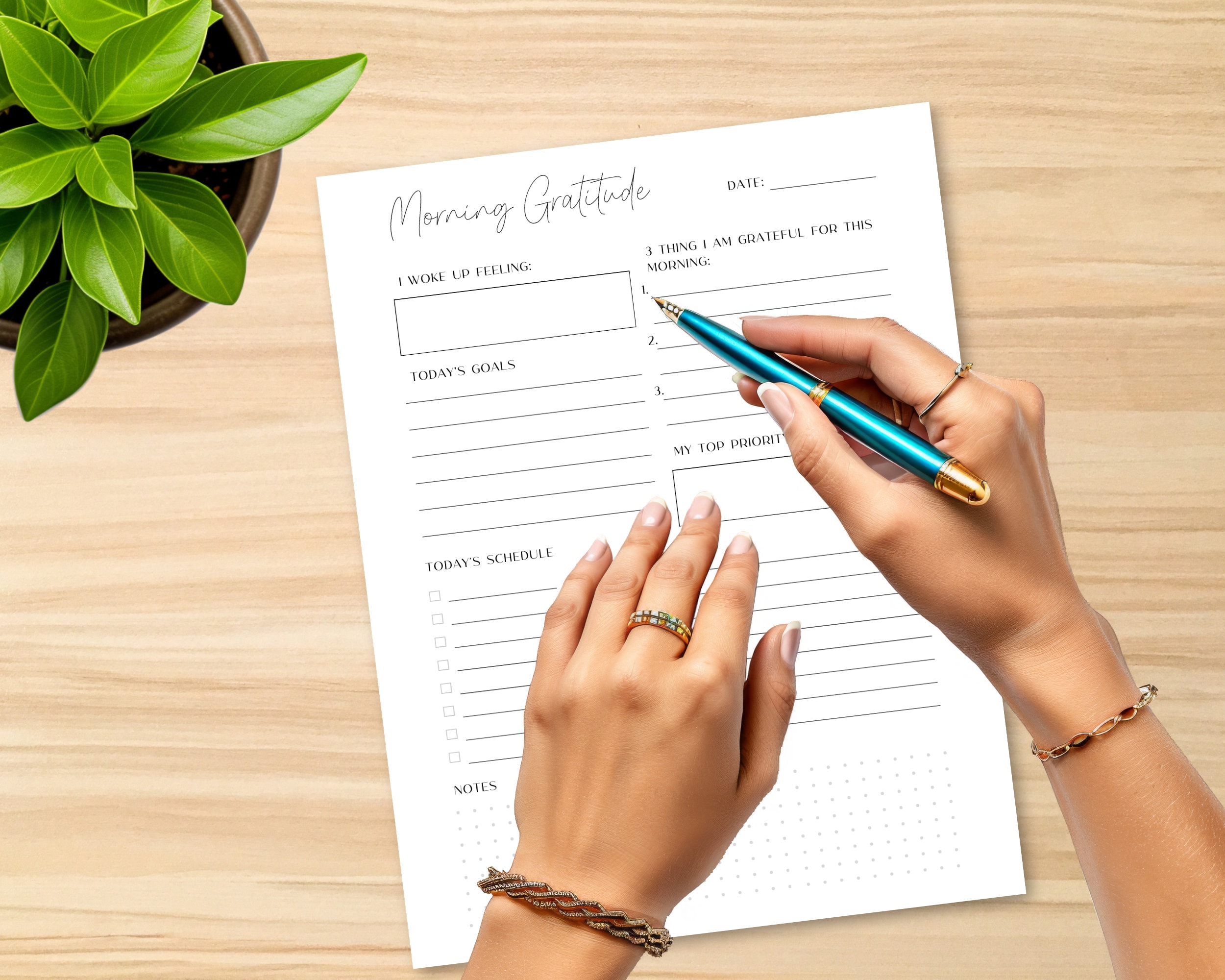 Daily Gratitude Journal | Morning and Evening Journal | Gratitude ...