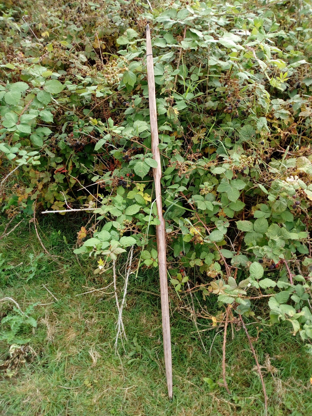 Ash Primitive Stickbow - Etsy