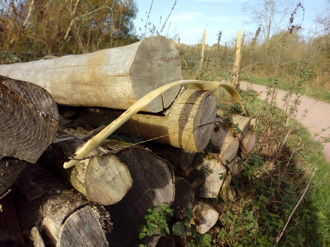 Mollegabet Design Primitive Bow 66", #40lbs @ 27", Heat Treated Polish ...