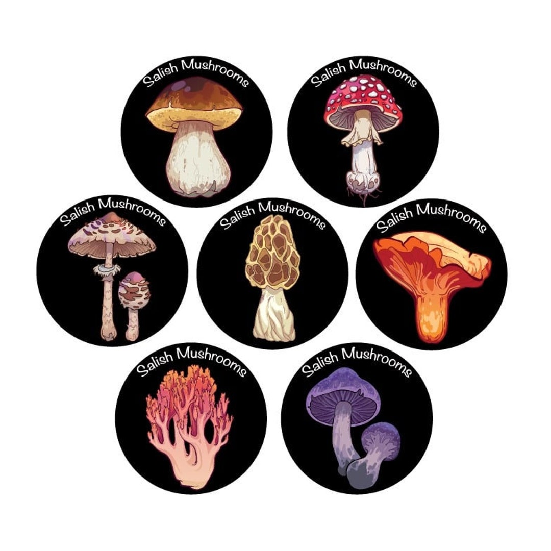 Mushroom Sticker Pack - Etsy