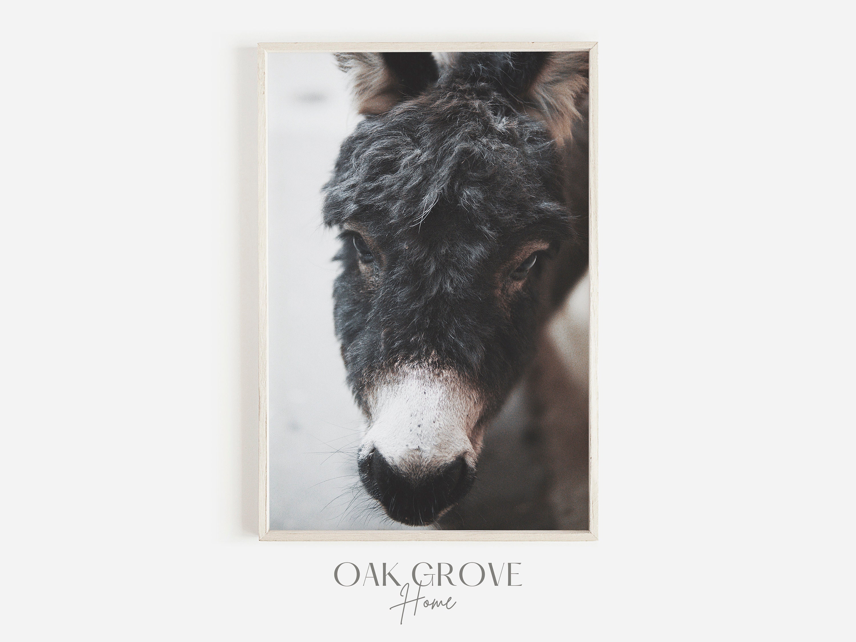 Brown Donkey Poster, Farm Animal Print, Donkey Photography, Modern ...