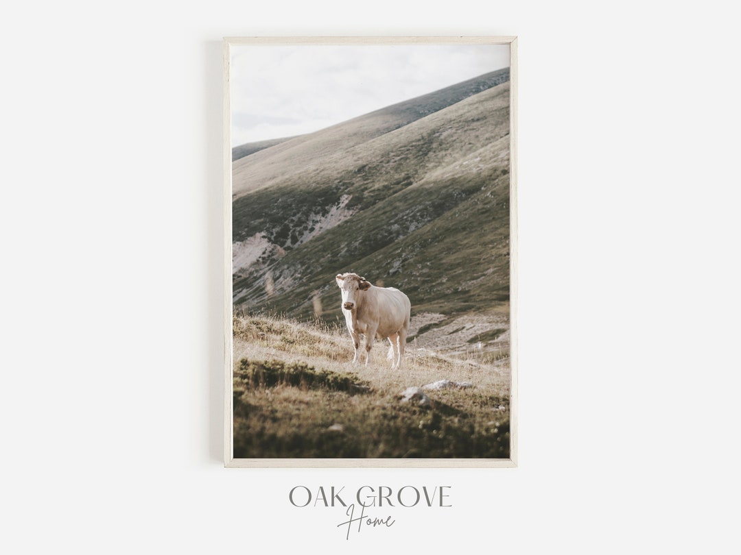 Beige Cow on Grassy Hill, Mountain Cows, Rustic Farm Decor, Cow Digital ...