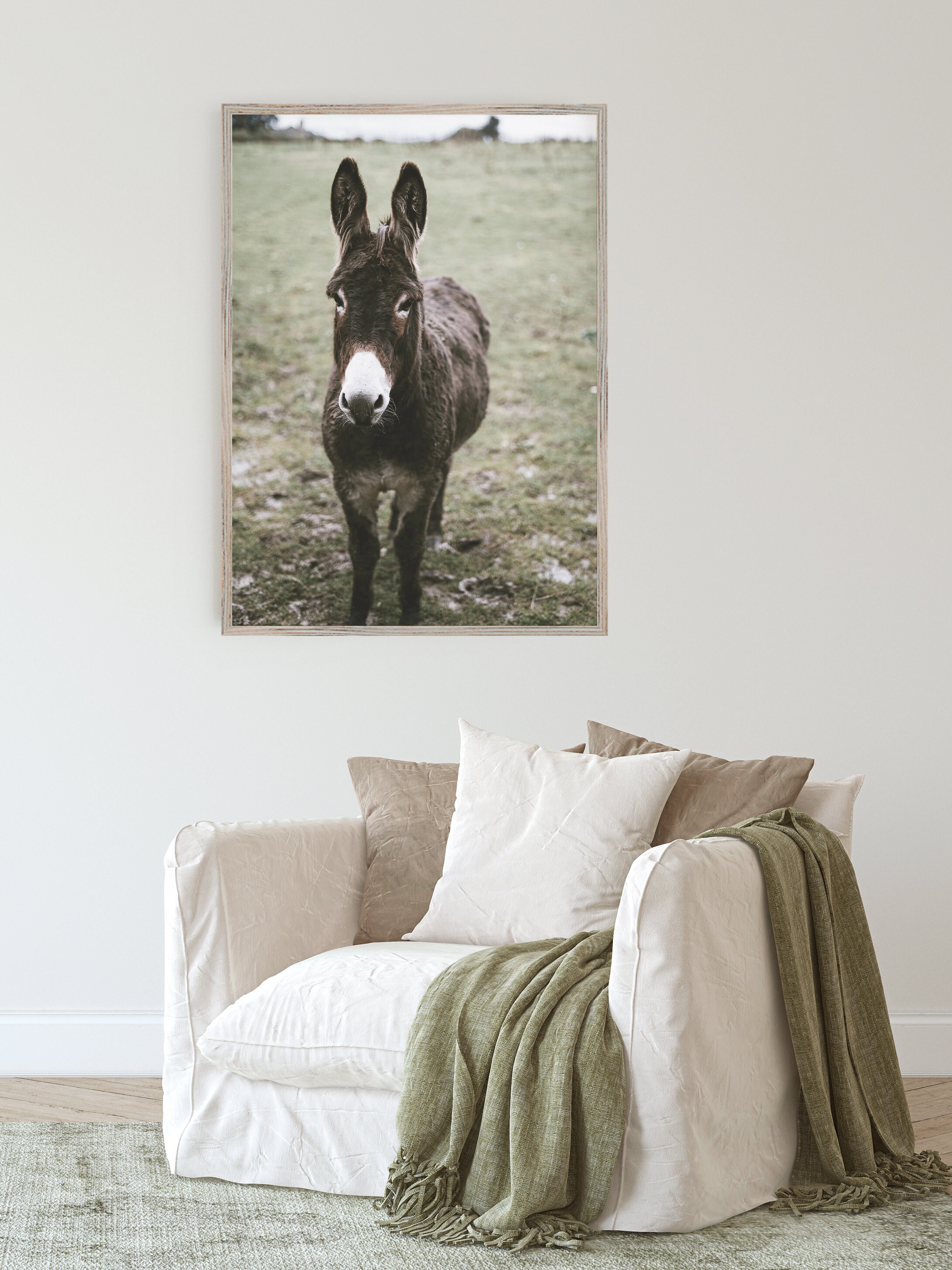Donkey Printable, Farmhouse Photo, Modern Farm Decor, Donkey ...