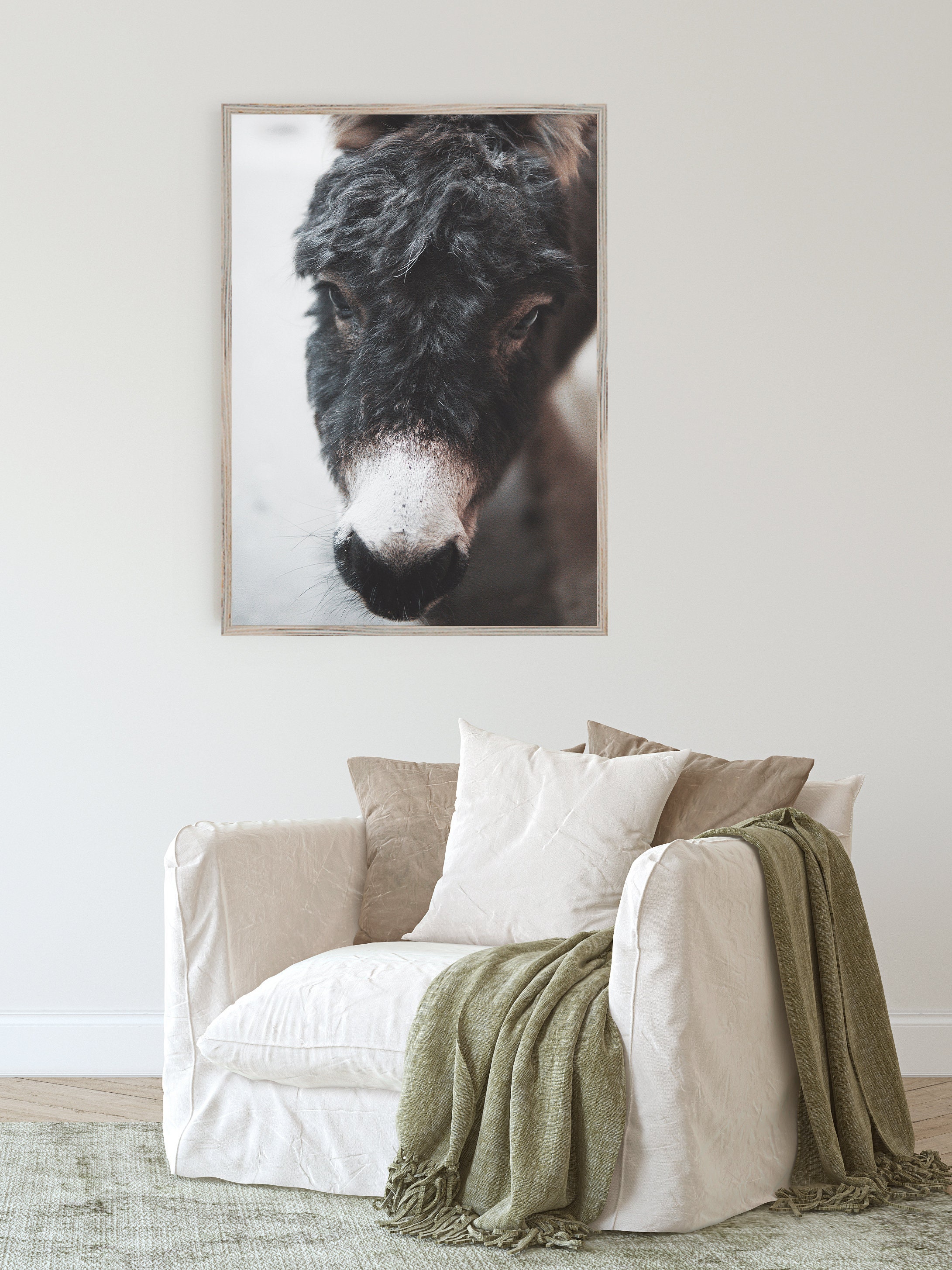 Brown Donkey Poster, Farm Animal Print, Donkey Photography, Modern ...