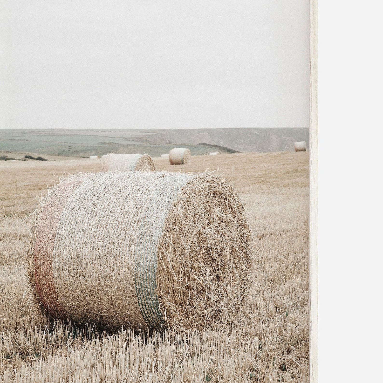 Round Bale of Hay, Hay Field Wall Art, Round Bale in Open Field, Bale ...