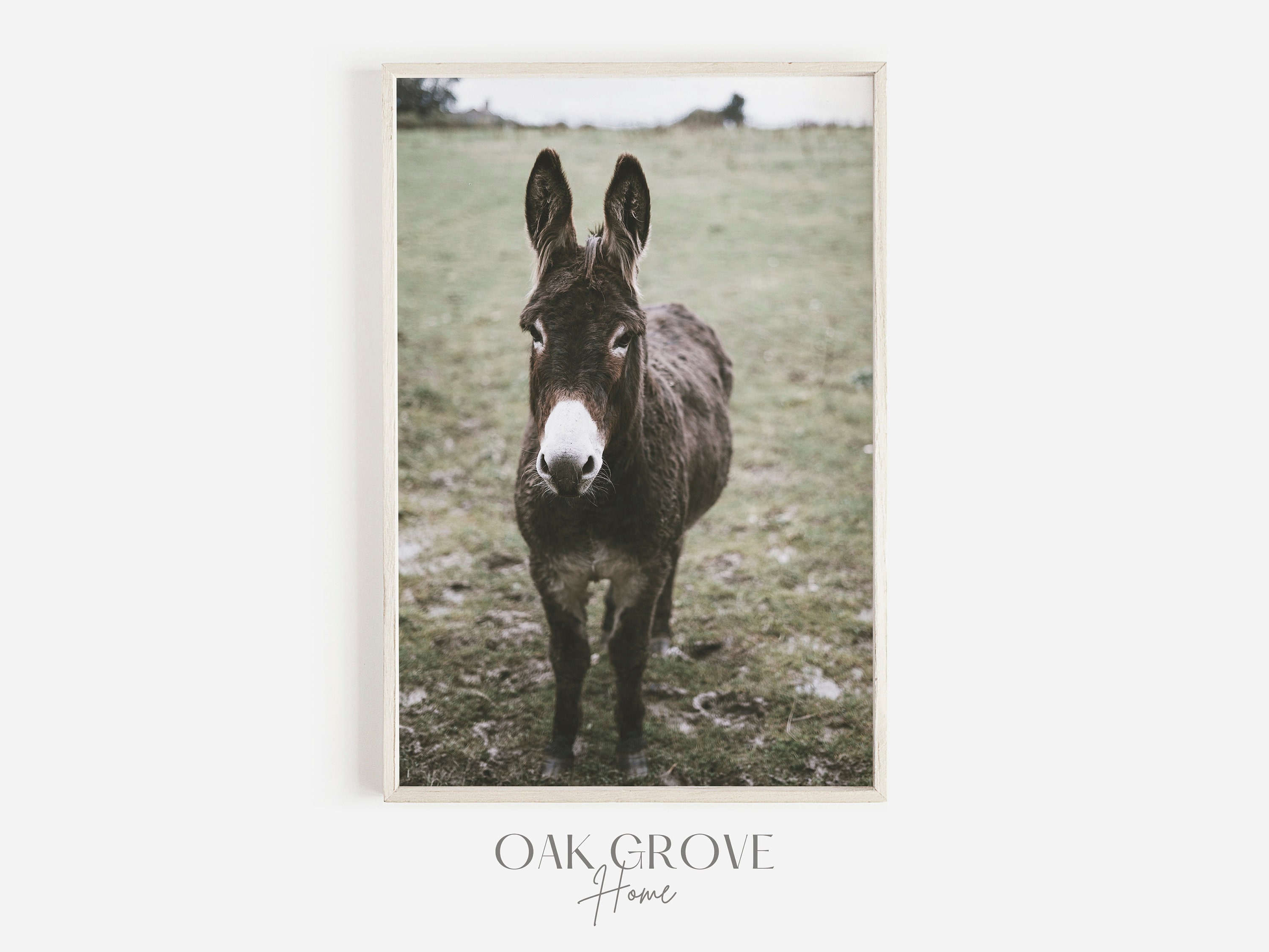 Donkey Printable, Farmhouse Photo, Modern Farm Decor, Donkey Photography, Rustic Country Print ...