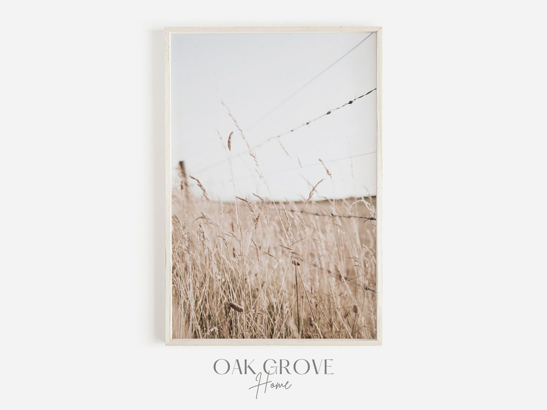 Wheat Field on Prairie, Open Range Field Photo, Rustic Home Print ...