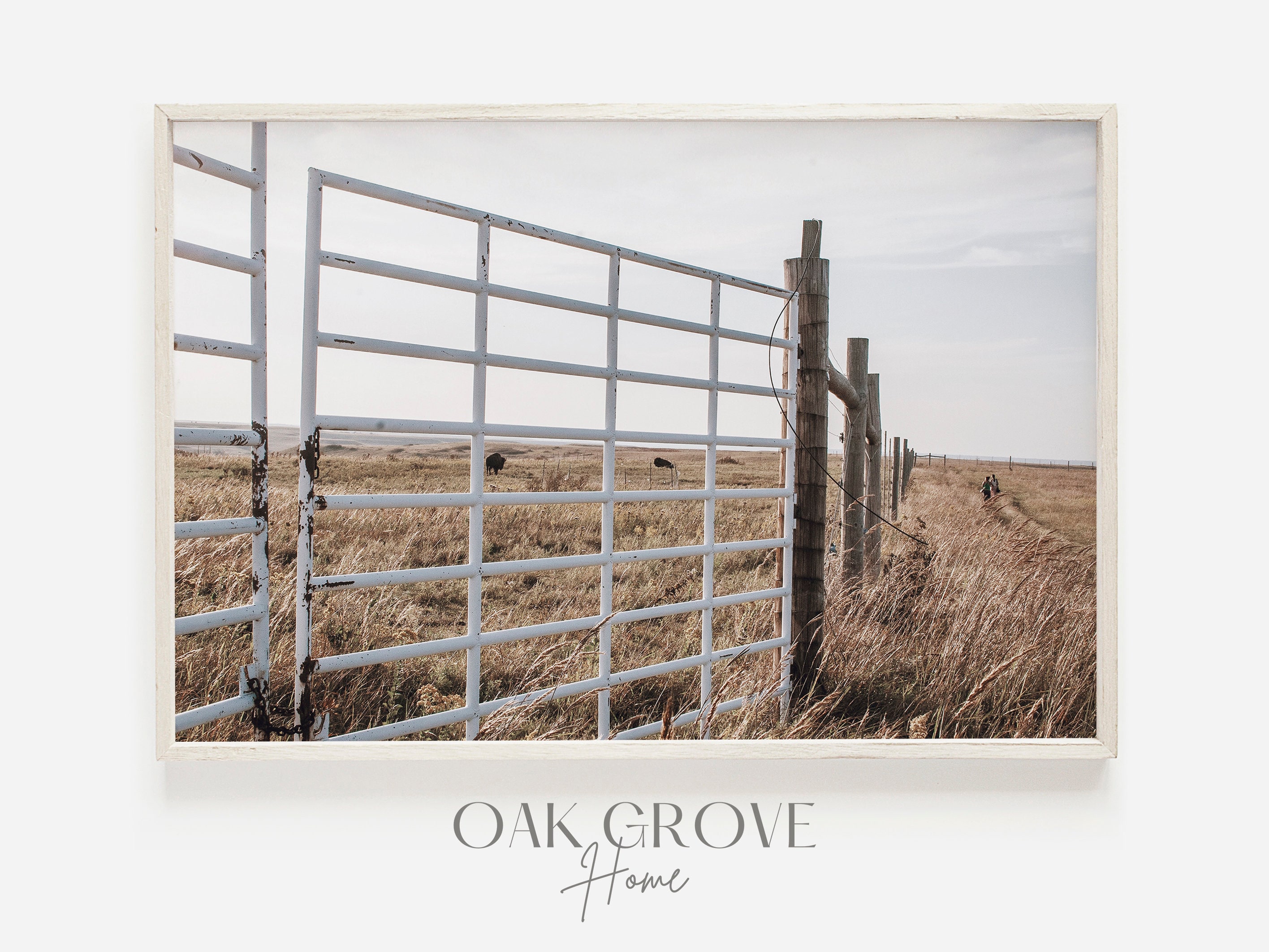 Fence Line in Open Range, Western Scenery, Open Range Field Print ...