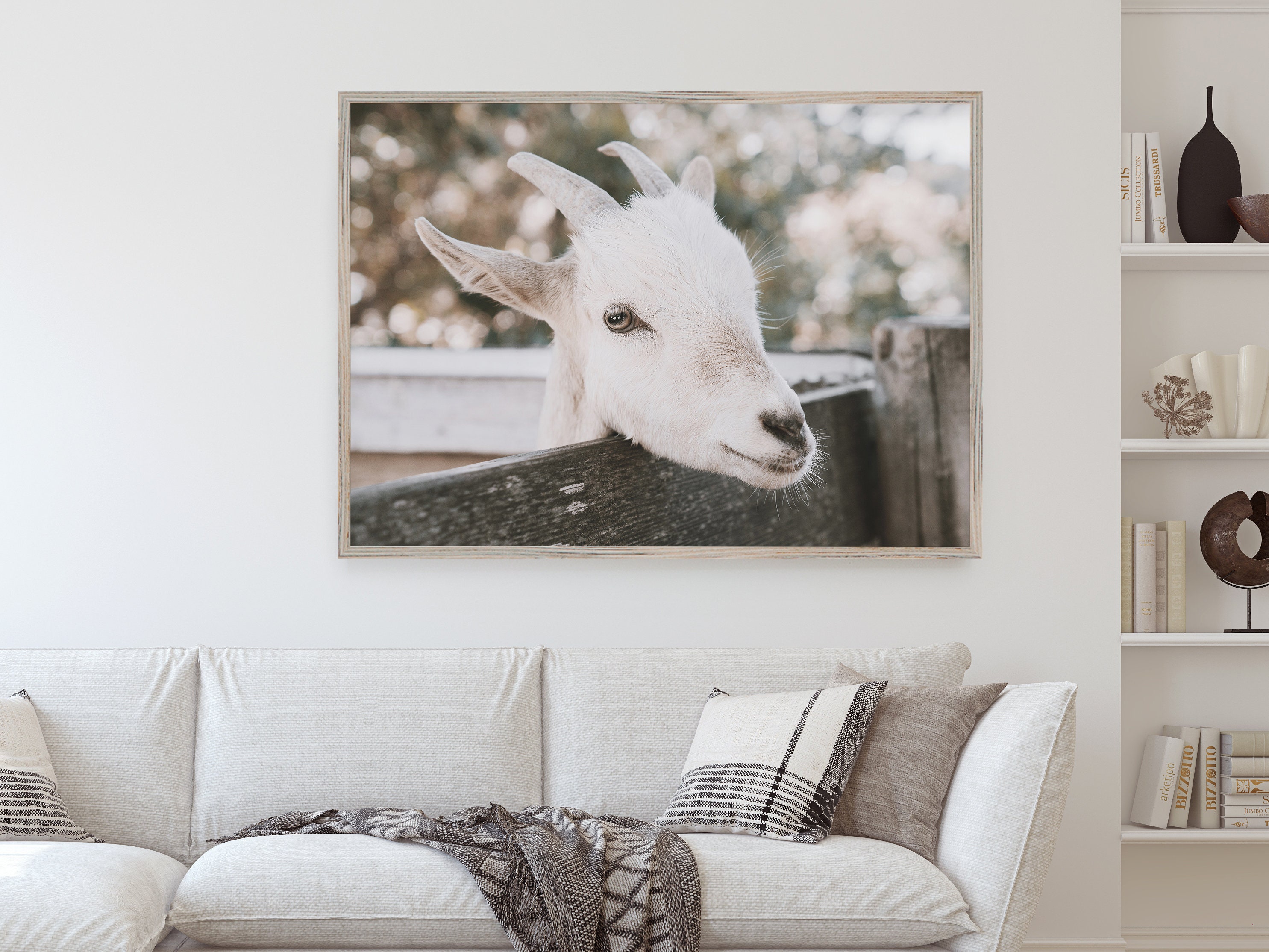 Baby Goat on Farm, White Goat Photo, Rustic Farm Decor, Farm Animal ...