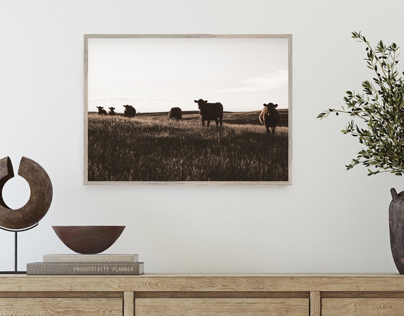 Cows on Horizon, Midwest Cattle Decor, Cow Silhouette Poster, Black ...