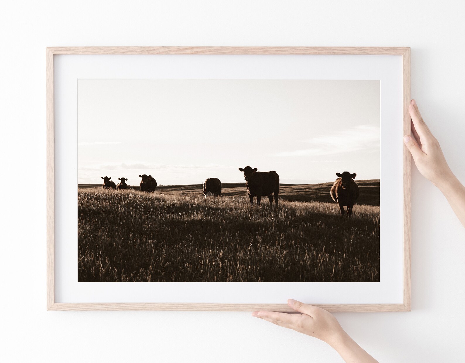 Cows on Horizon, Midwest Cattle Decor, Cow Silhouette Poster, Black ...