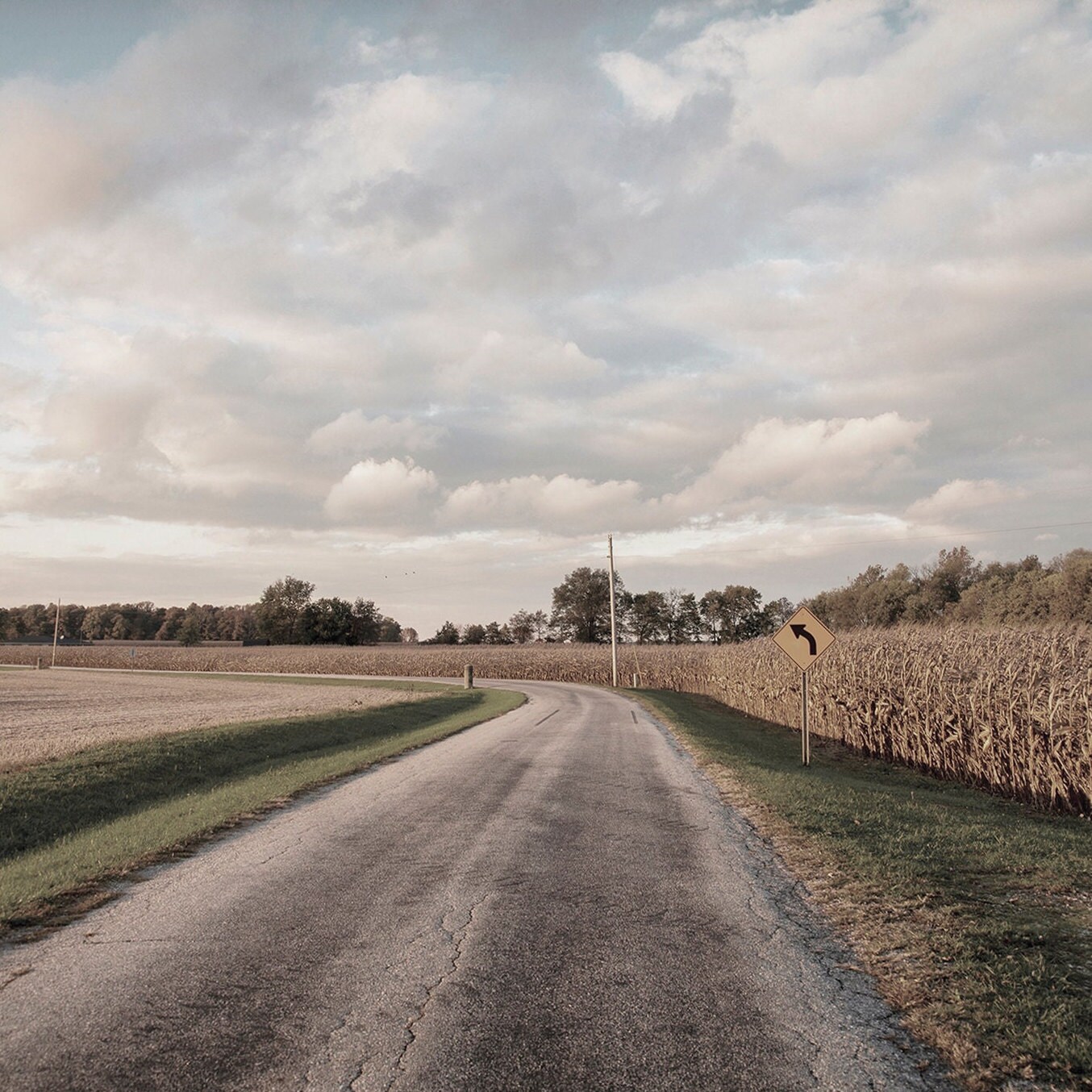Country Lane Poster, Long Driveway Along Cornfield, Farmhouse Print ...