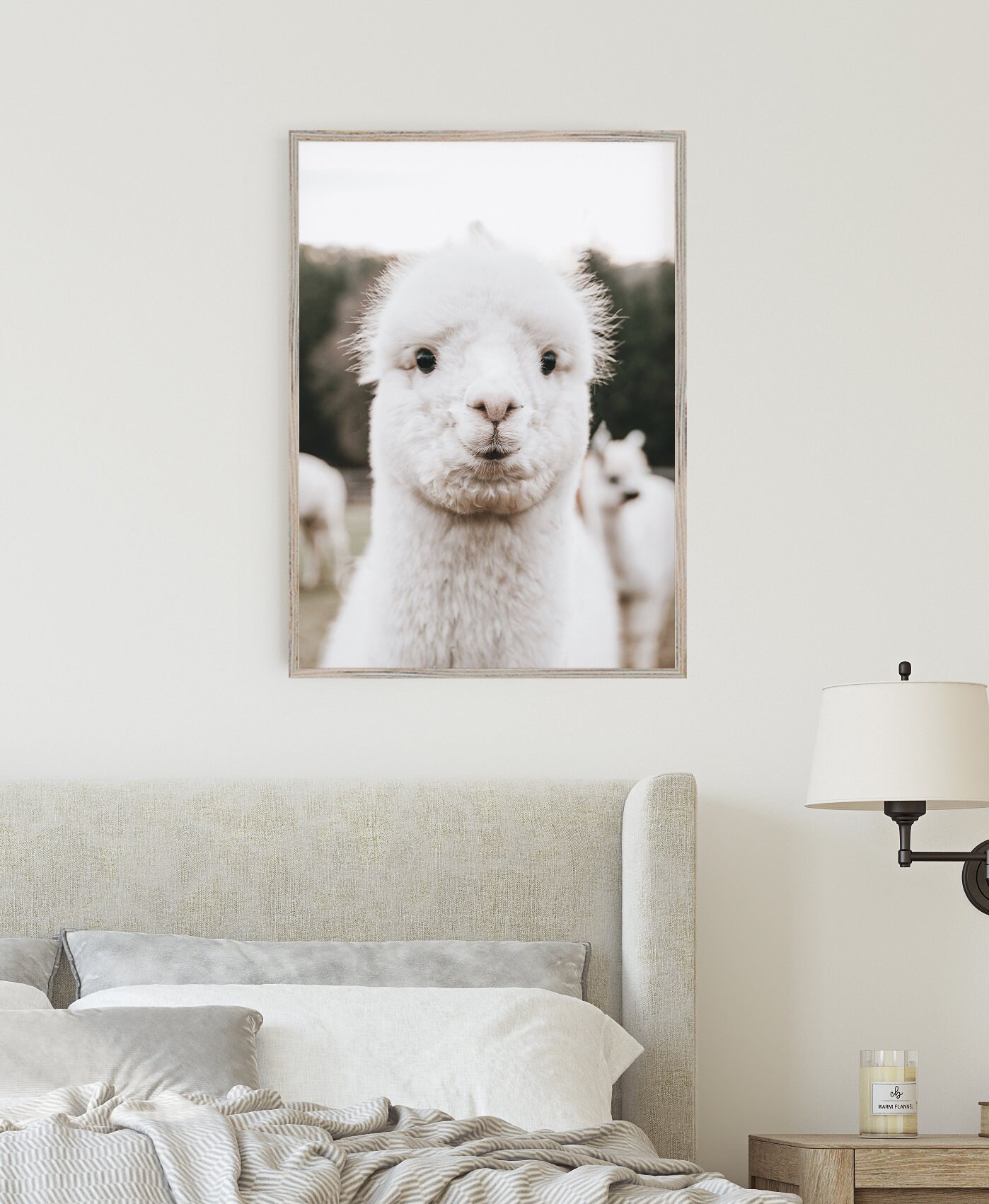 Fluffy Alpaca Poster, White Alpaca Wall Art, Fluffy Farm Animal, Alpaca ...