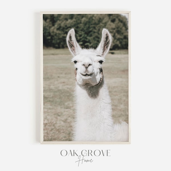 Llama Print - Etsy