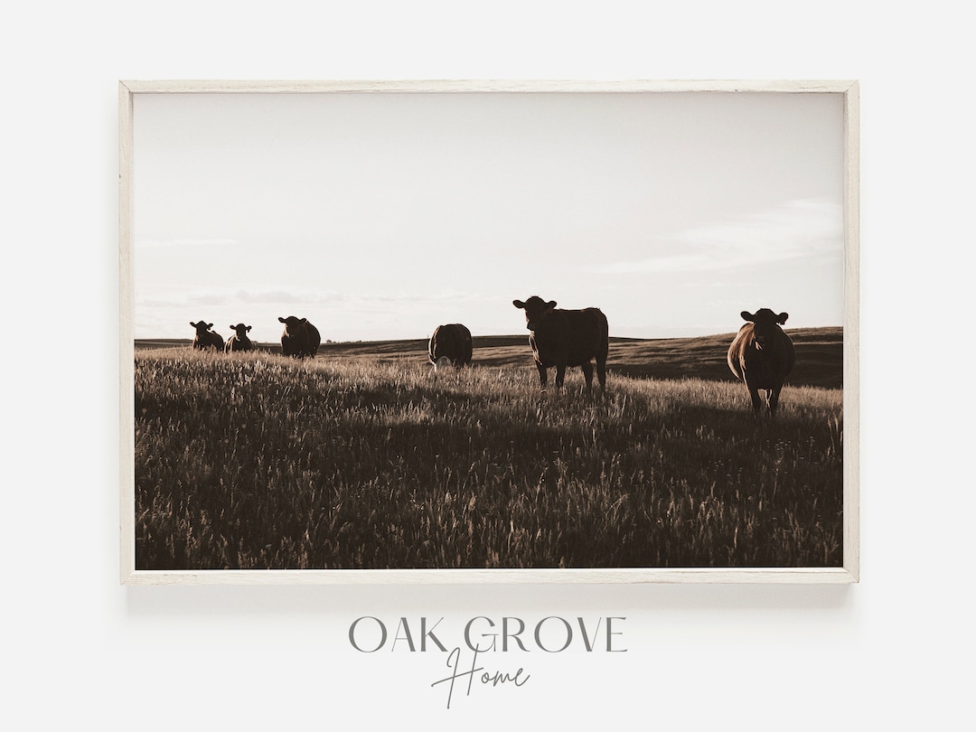 Cows on Horizon, Midwest Cattle Decor, Cow Silhouette Poster, Black ...