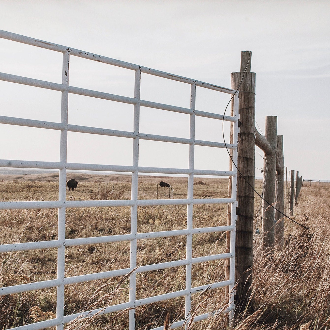 Fence Line in Open Range Western Scenery Open Range Field - Etsy