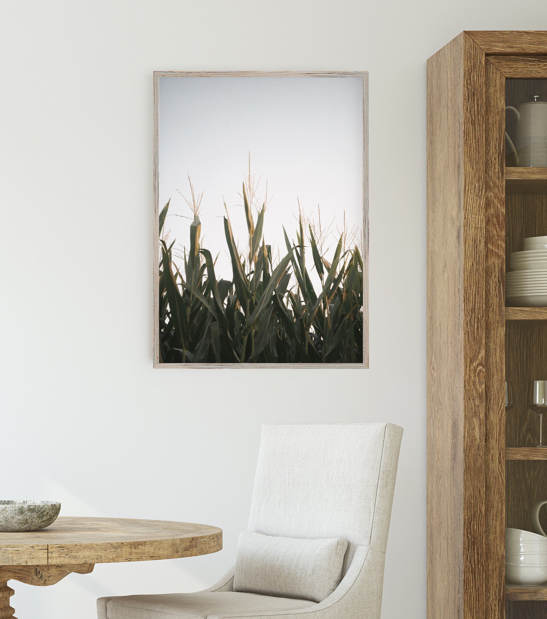 Corn Stalks on Family Farm, Farm Scenery, Corn Digital Art, Harvest ...