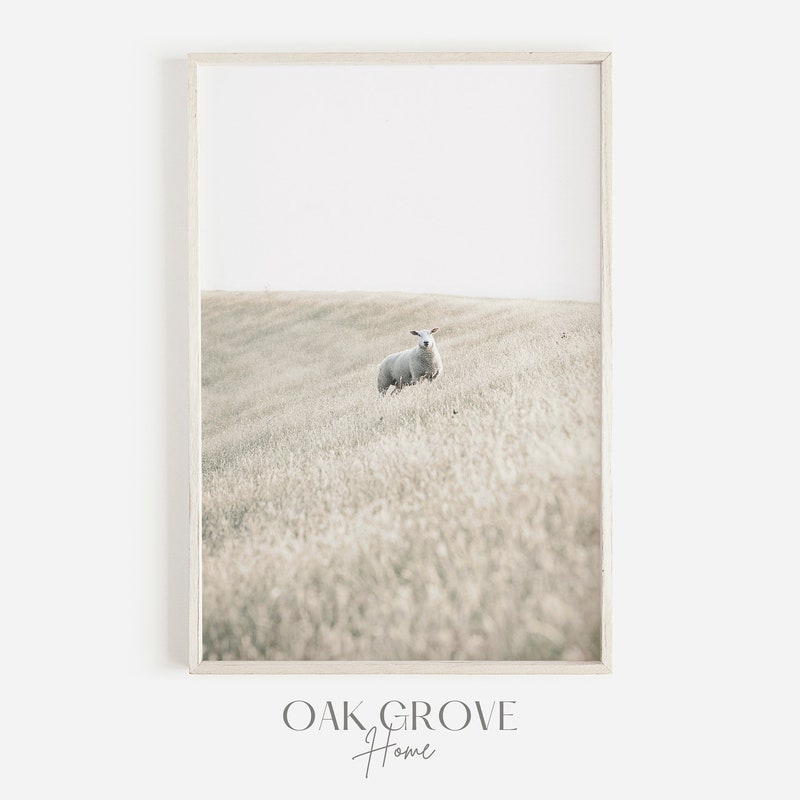 Sheep Home Decor - Etsy