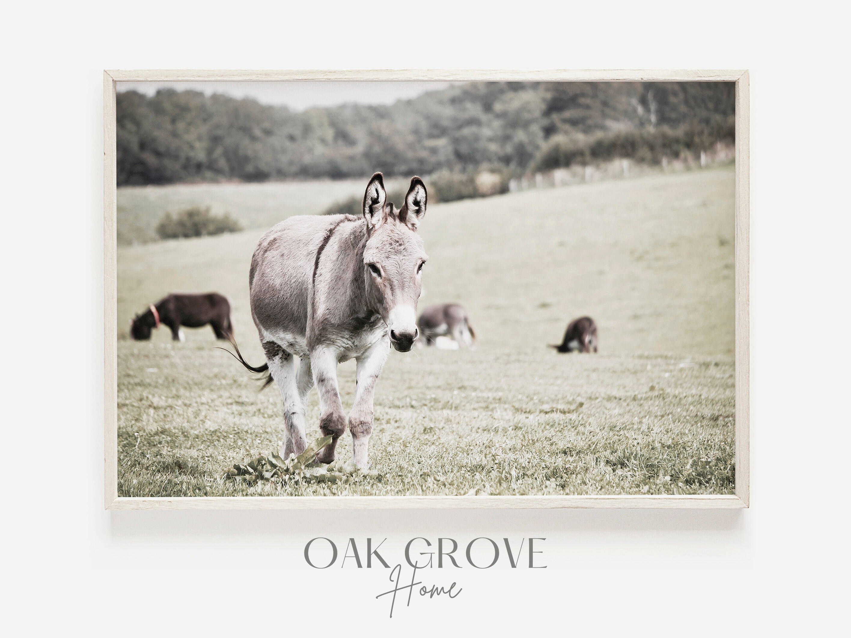 Farm Donkey Printable, Gray Mule Wall Art, Rustic Country Print, Modern ...