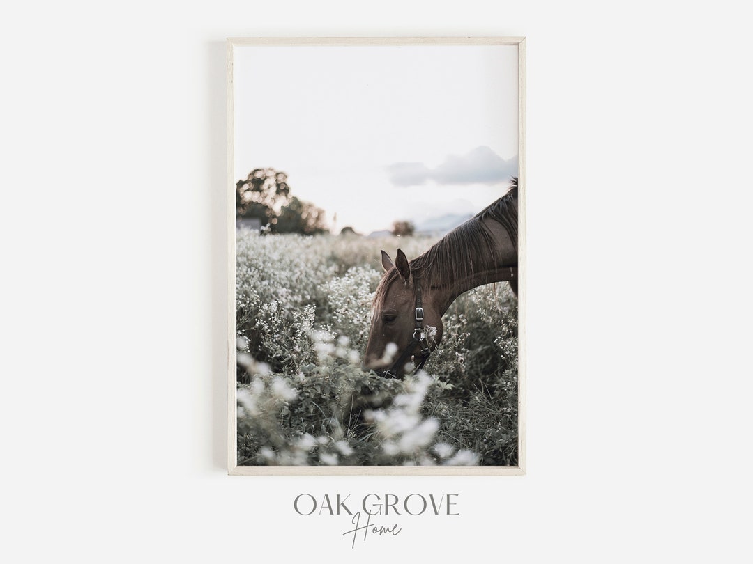 Horse Grazing in Wildflower Field, Farmhouse Scenery, Brown Horse Wall ...