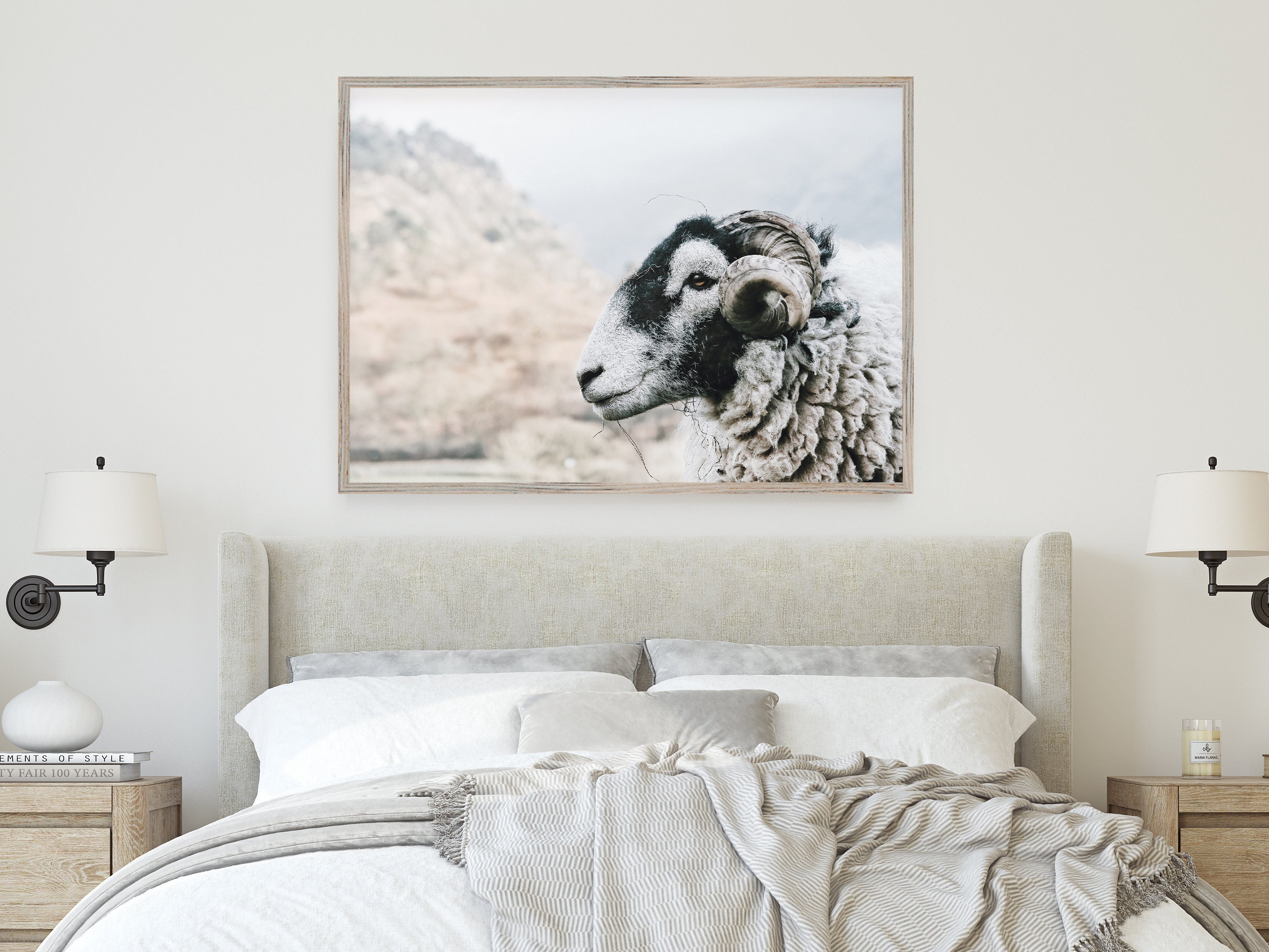 Ram Sheep Poster, Spotted Ram Photo, Sheep Ram Wall Art, Side View of ...