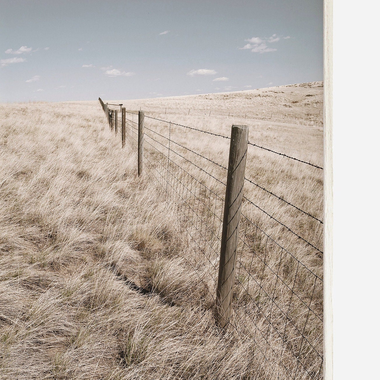 Western Fenceline Photo, Fence on Open Range, Barbed Wire Fence Wall ...