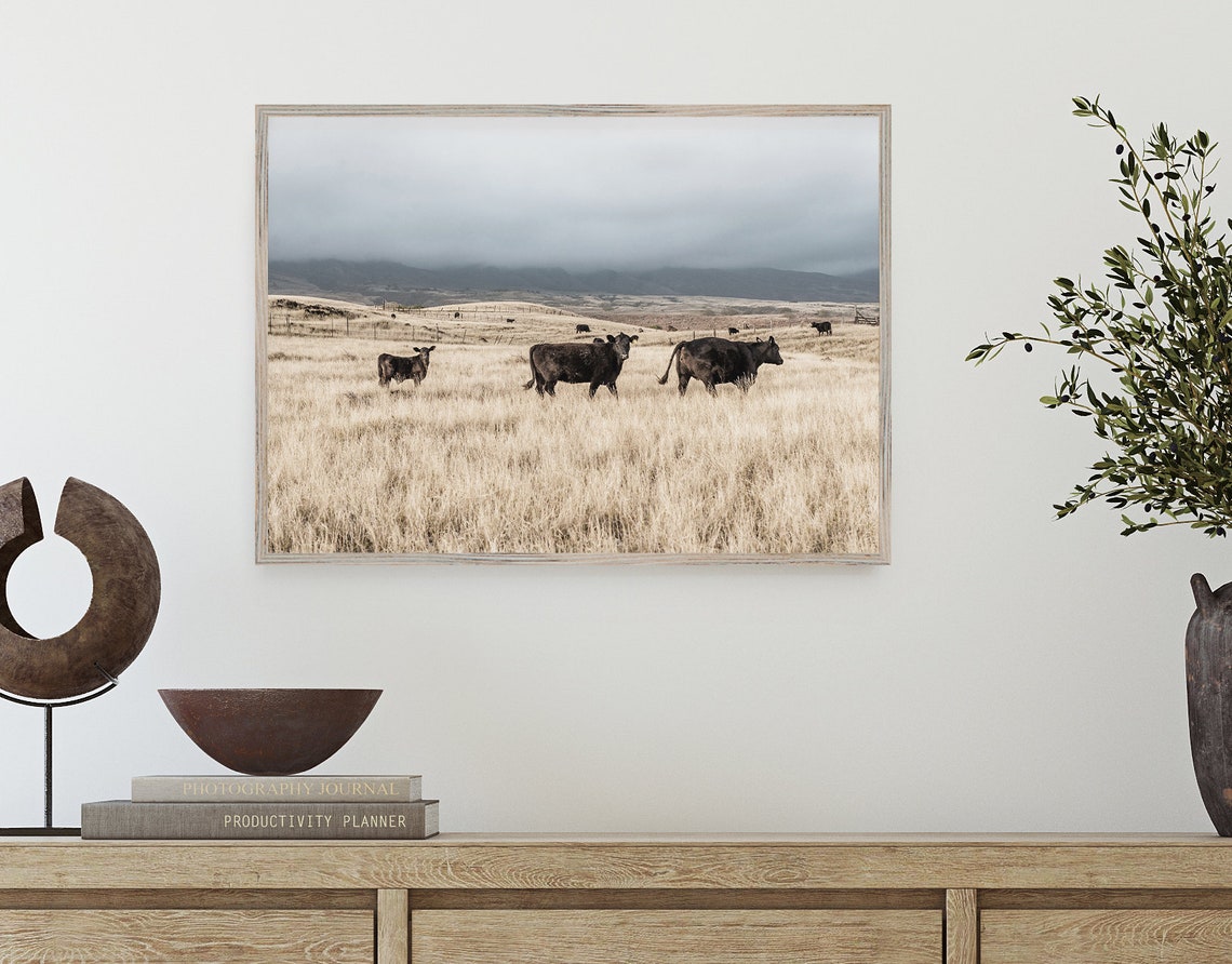Western Cattle Ranch Scenery, Montana Open Range, Cattle Ranch ...