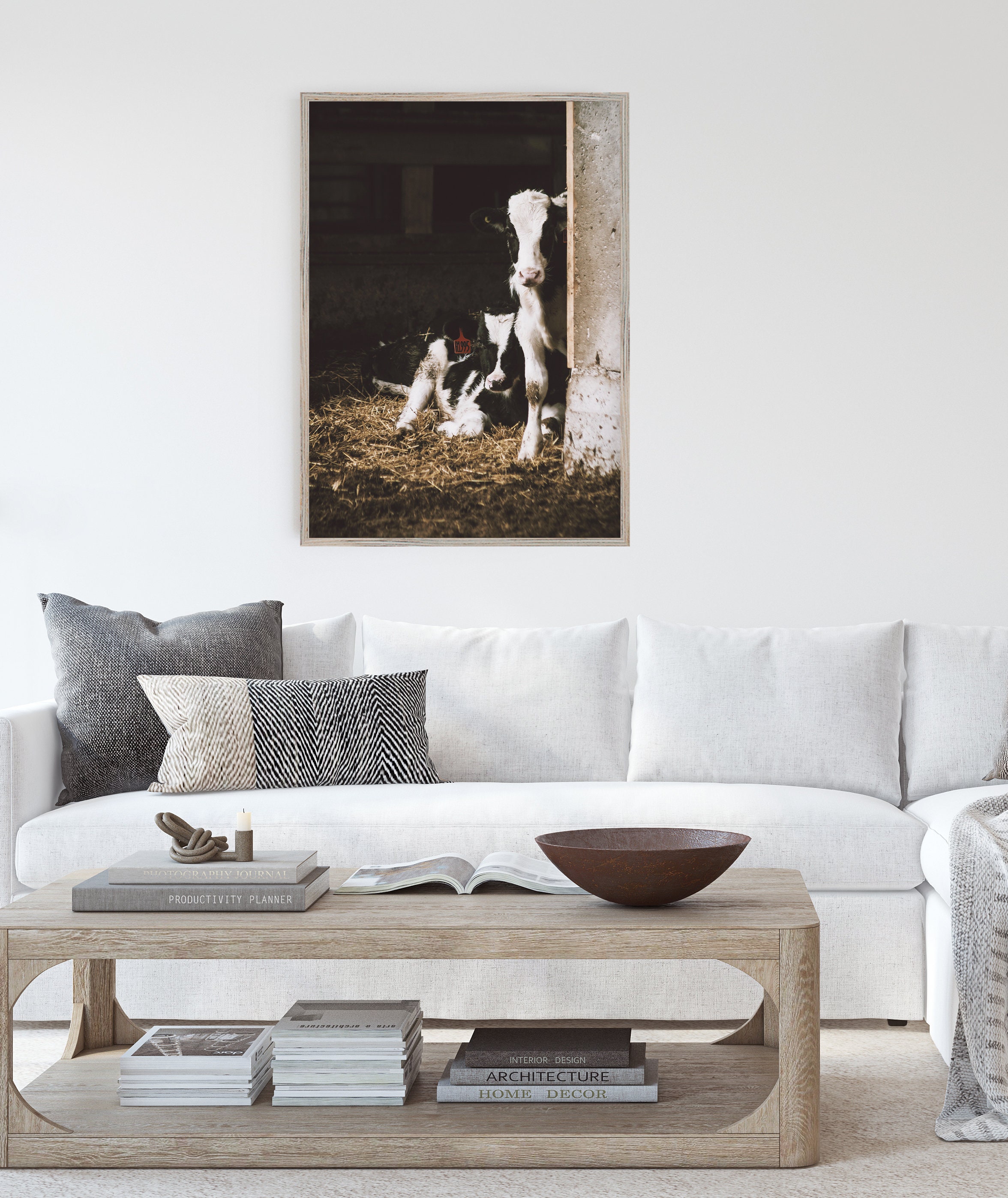 Newborn Calves Poster, Farm Life Wall Art, Baby Cow Printable, Farm ...