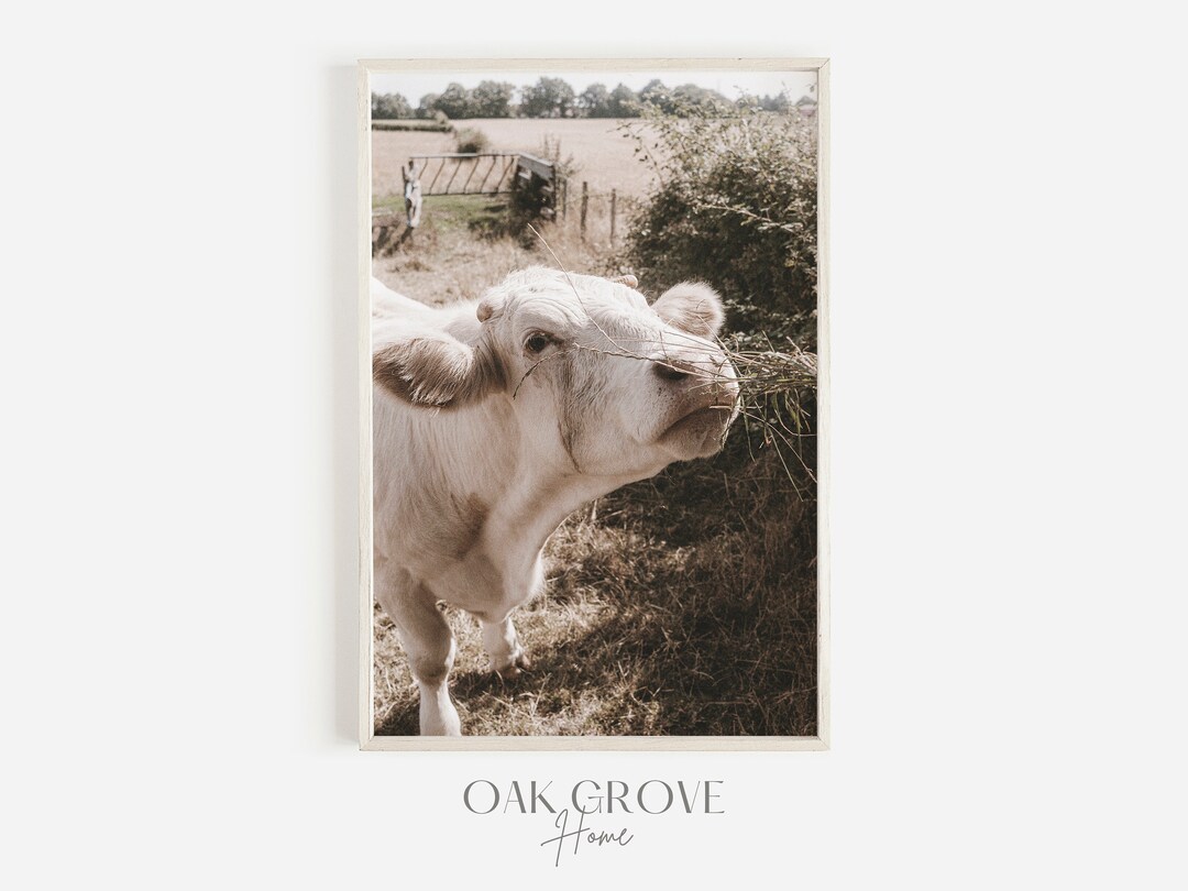 Neutral Cow for Farmhouse, Country Style Decor, Cattle Print, Modern ...