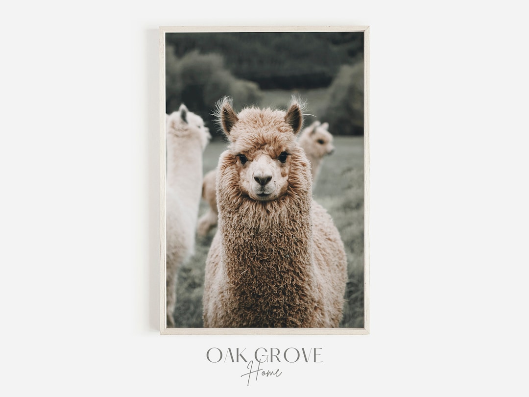Beige Alpaca Printable, Rustic Farmhouse Decor, Alpaca Digital Art ...