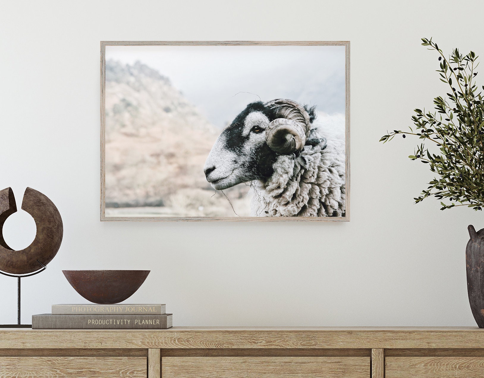 Ram Sheep Poster, Spotted Ram Photo, Sheep Ram Wall Art, Side View of ...