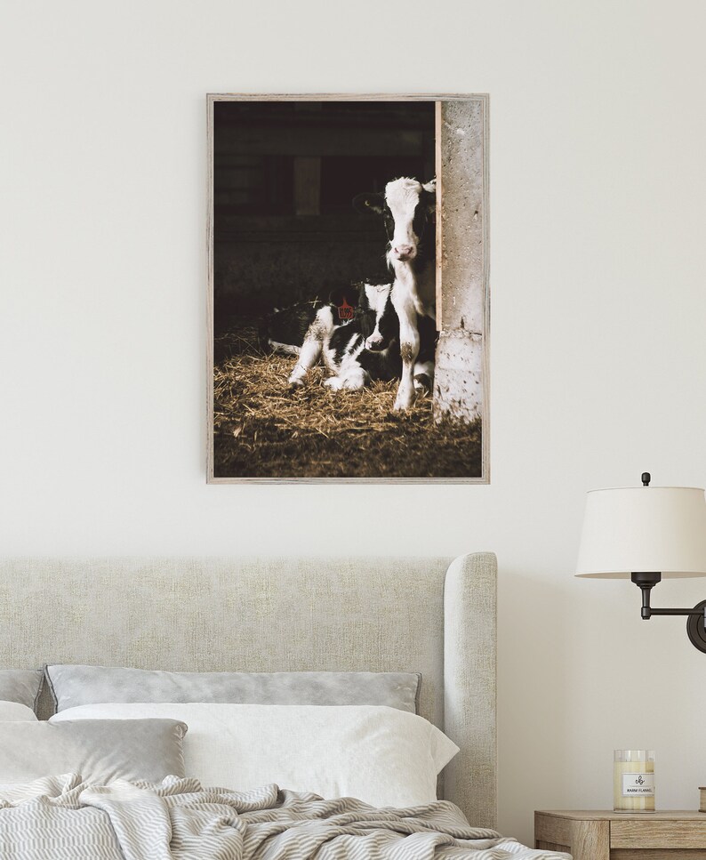 Newborn Calves Poster, Farm Life Wall Art, Baby Cow Printable, Farm ...
