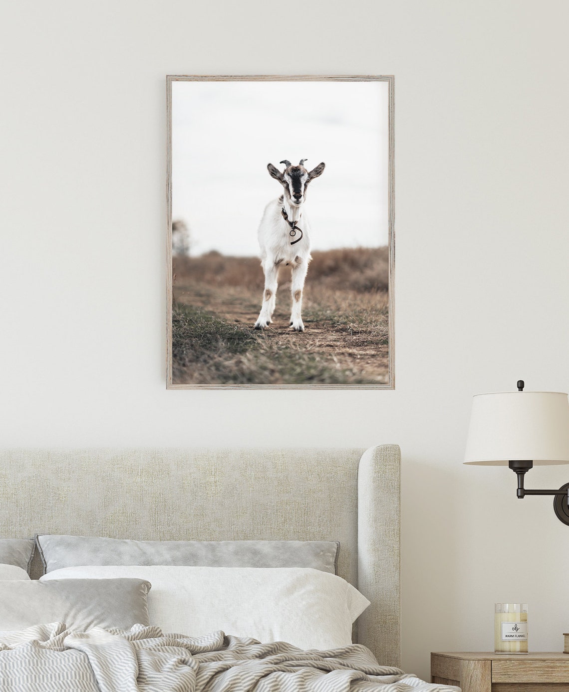 Little Goat Wall Art Farmhouse Poster Goat Photography - Etsy