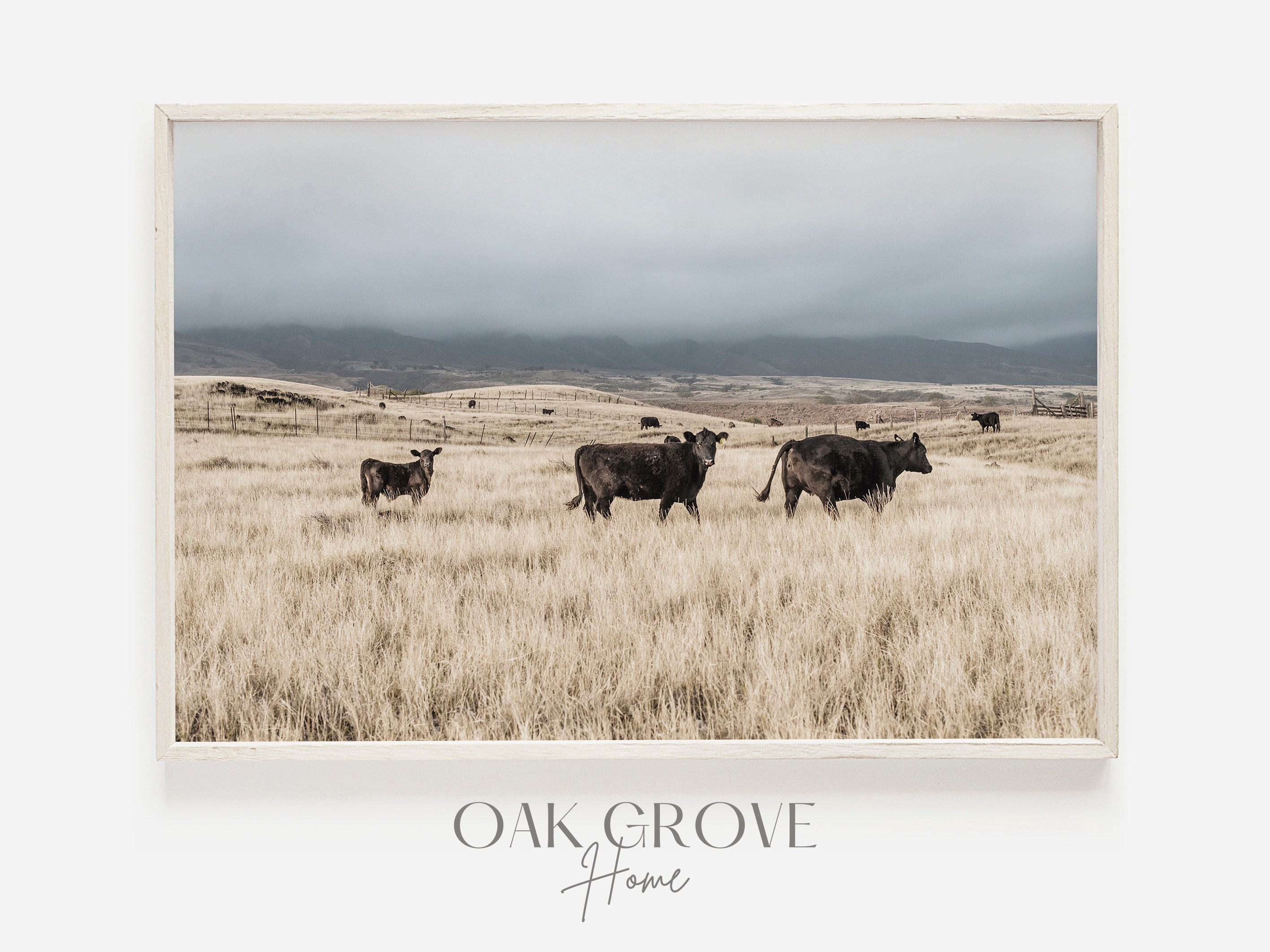 Western Cattle Ranch Scenery, Montana Open Range, Cattle Ranch ...
