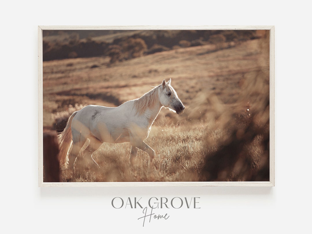 Horse Trotting Across Field, Warm Neutral Farm Art, Open Range Horses ...