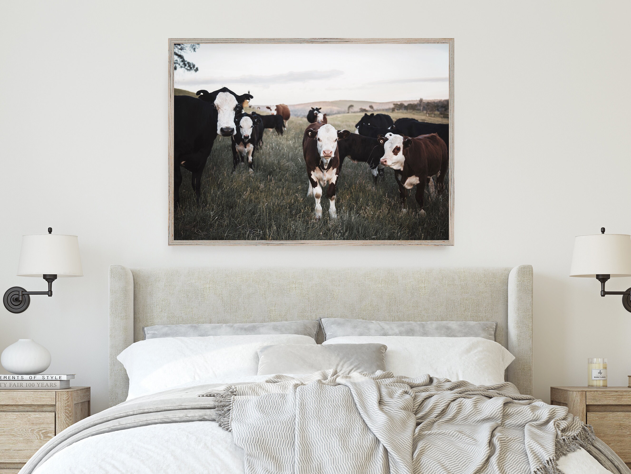 Rustic Cow Photo, Brown Cow Herd, Midwest Cattle Ranch, Cattle Farm ...