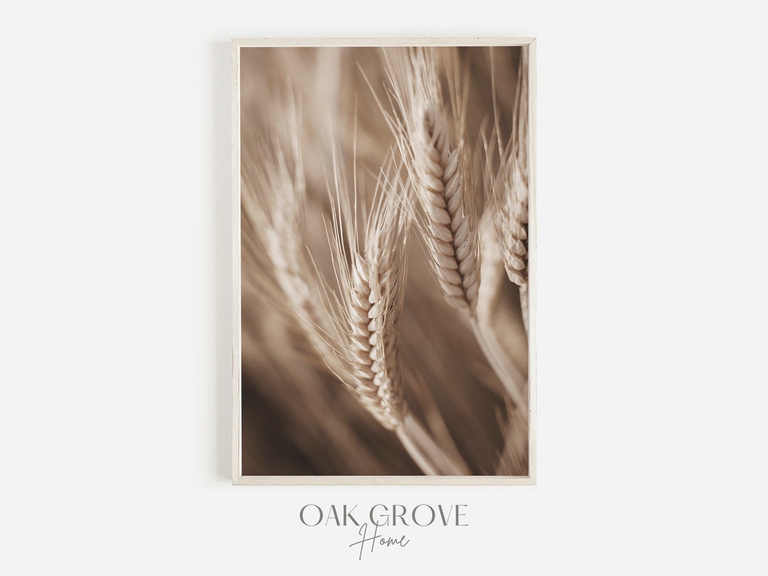 Beige Wheat Wall Art, Close up Wheat Photo, Macro Photography, Whole ...