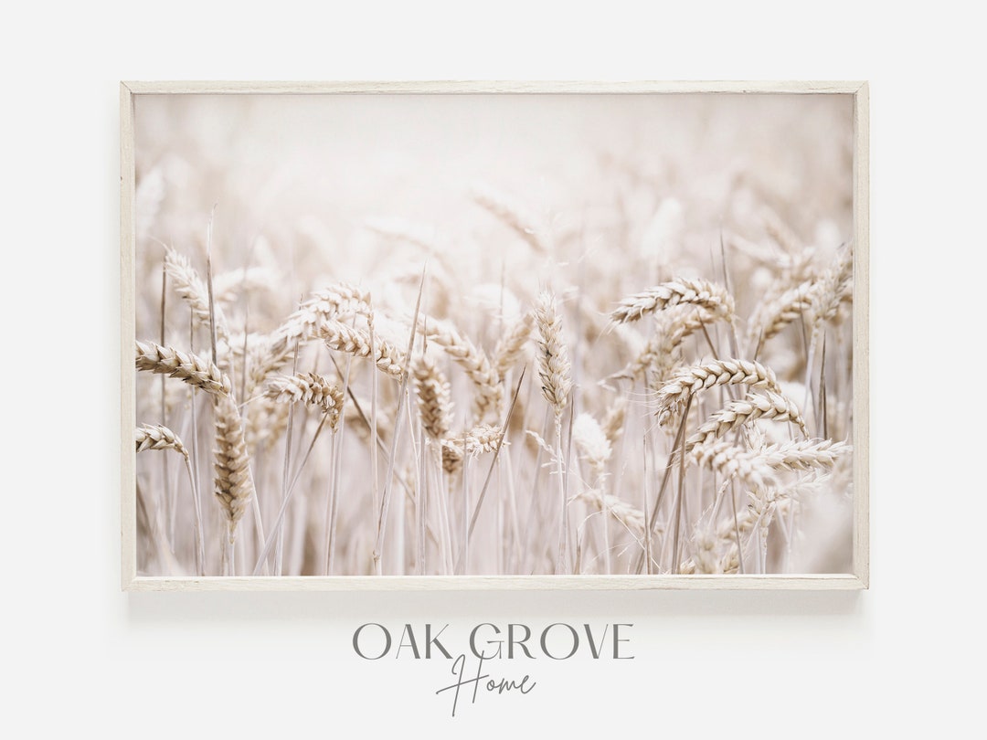 Golden Wheat Poster, Beige Farmhouse Print, Wheat Photography, Country ...