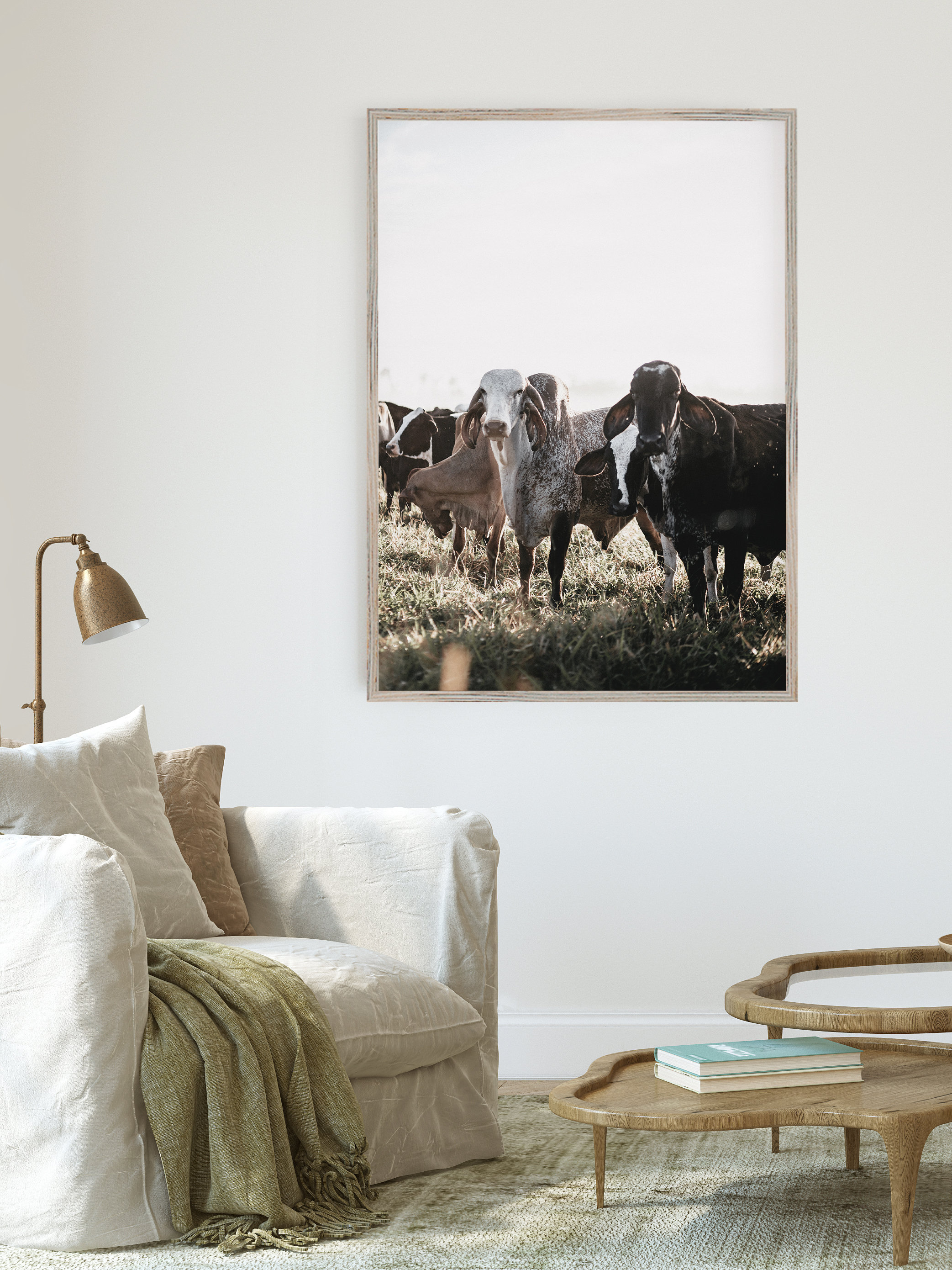 Brahman Cow Printable, Wrinkly Cow Wall Art, Brahman Cow Photography ...