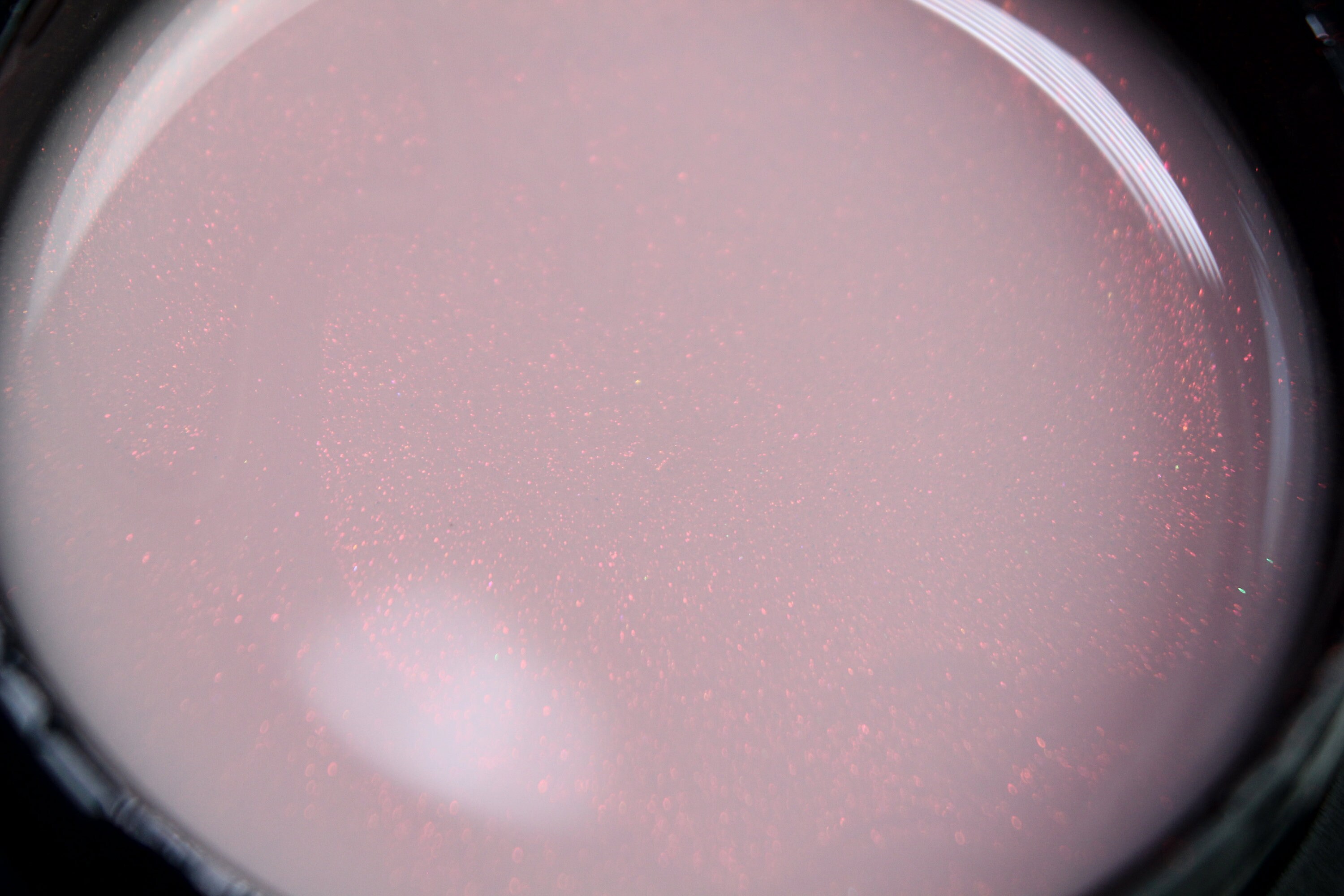 Glass Base, Rubber Base Gel, Gel for Nails, Rubber, Base Coat, Rubber ...