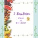 3-day Detox Guide & Checklist, Detox Checklist, Post-vacation Detox ...