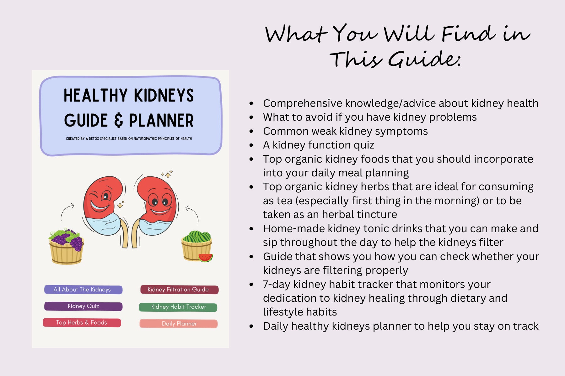 Health Bundle, Wellness Guide Bundle, Detox Workbook, Chronic Illness ...