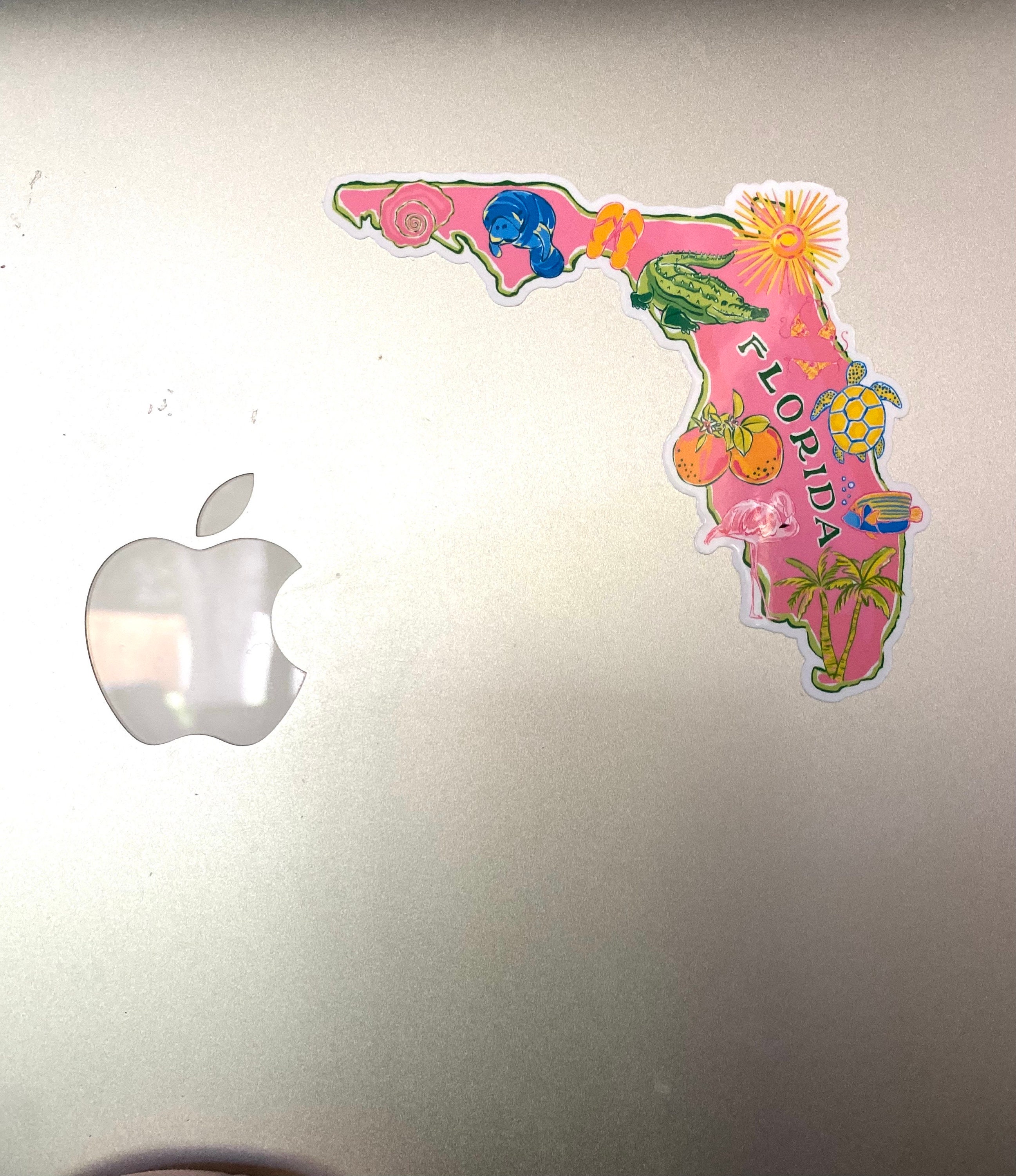 Florida Sticker State of Florida Sticker Florida State Sticker Beachy ...